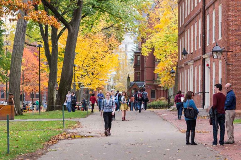 Gen Z’s Political Transformation: Uncovering Factors Behind Rising ...